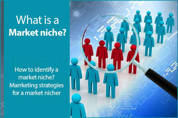 What is a market niche? How to identify? Niching strategies