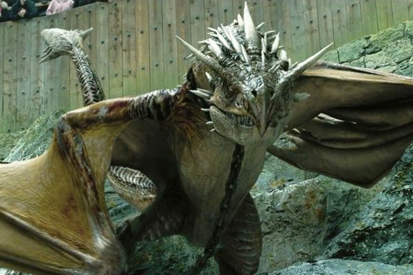 Discover the rarest dragon in Harry Potter's world!