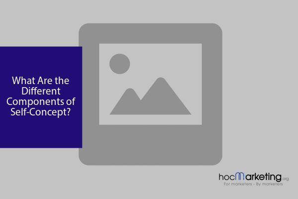 What Are the Different Components of Self-Concept?
